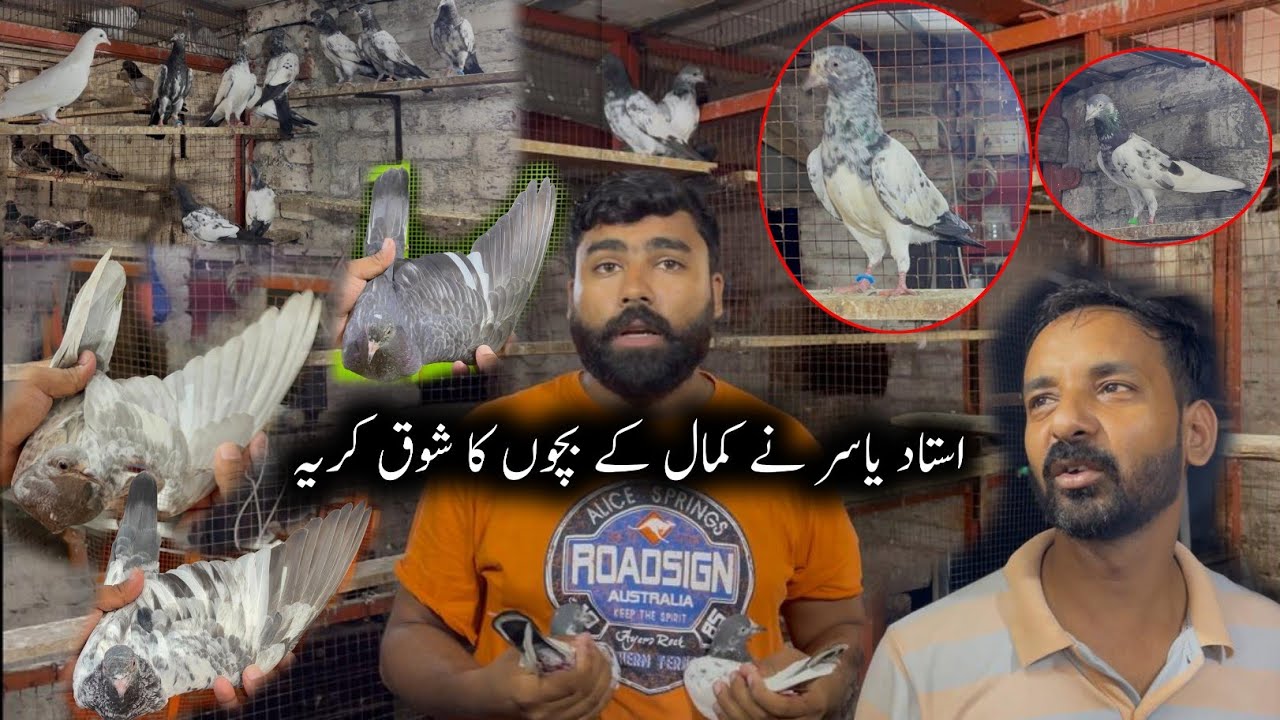 Ustad Yasir Se VIP Bachay Liya 🤗 - YouTube