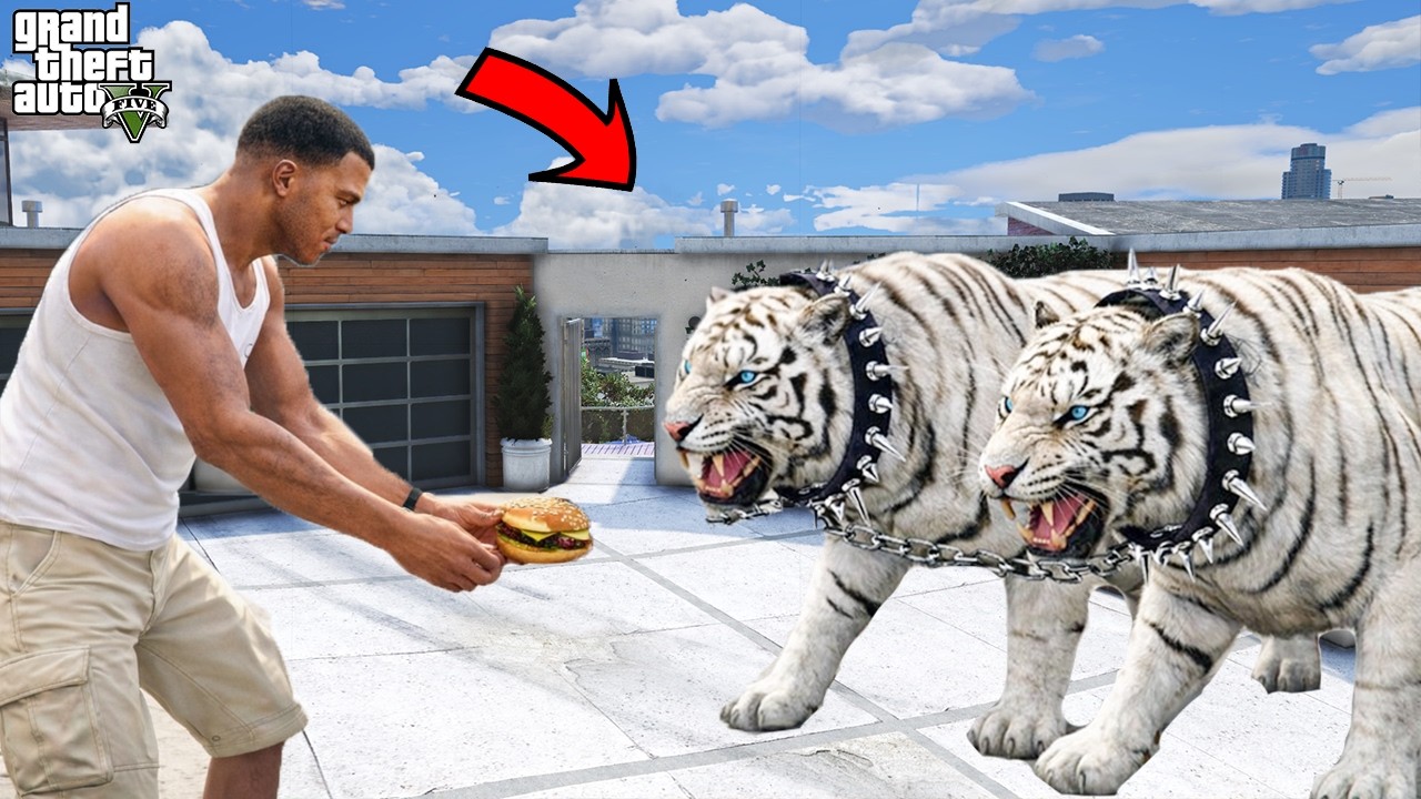 Franklin Tries To Catch The New Rare White Tiger In Gta 5 ! (GTA 5 mods ...