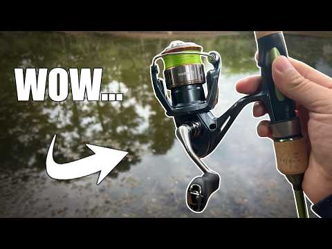 Fishing with the Shimano Nasci FD Ultralight Fishing Reel – First Impressions