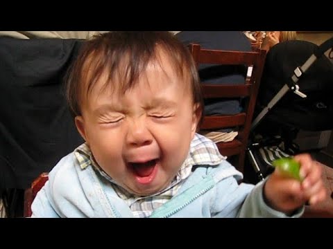 İlk Kez Limon Yiyen Bebekler Hepsi Çok Tatlılar