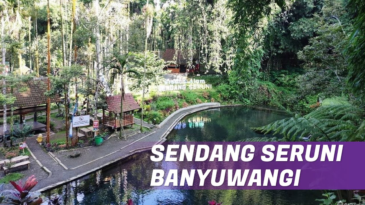 SEJUKNYA SENDANG SERUNI, KOLAM ALAMI DARI 7 SUMBER MATA AIR - YouTube