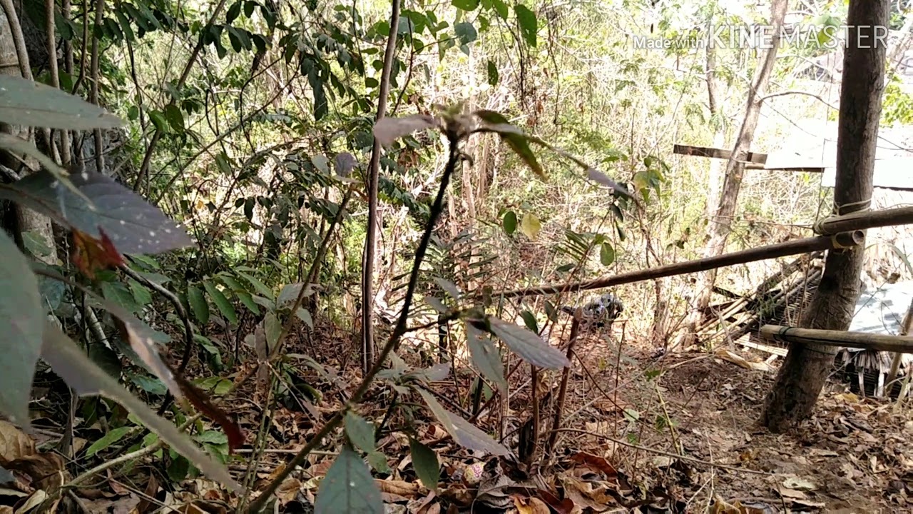 Adventure trip baro baro - YouTube