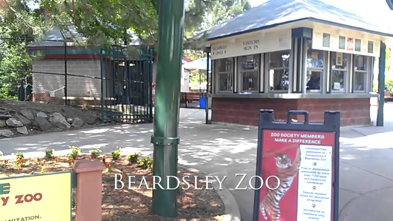 Bridgeport, CT - Beardsley Zoo - YouTube