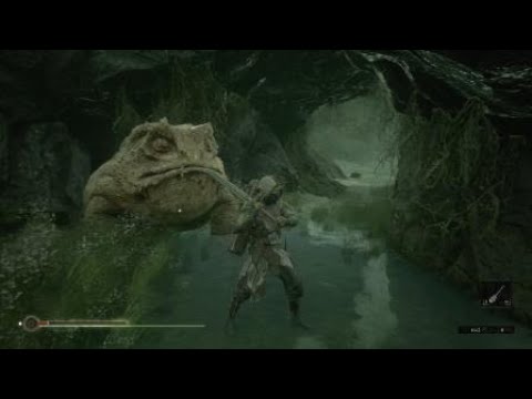 Mortal Shell all roasted rat skins from Gorf - YouTube