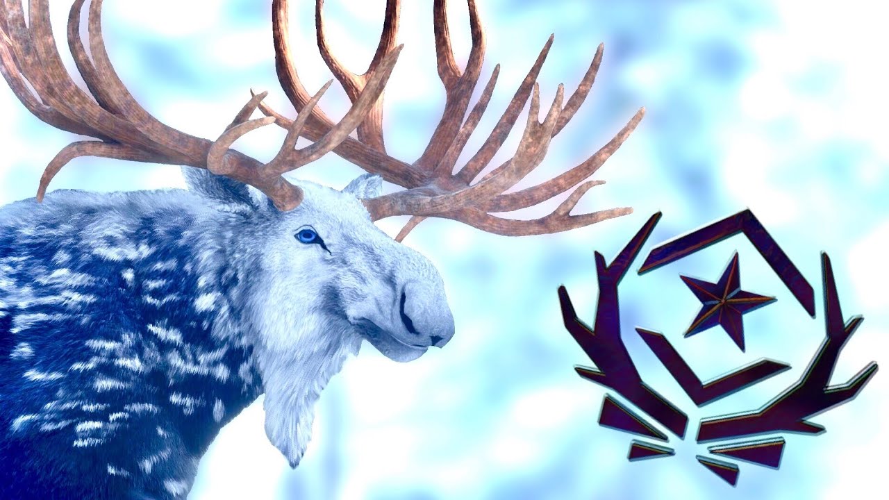 TAKING DOWN AN INCREDIBLY GORGEOUS FABLED SPECKLED SPIDER RACK GREAT ...