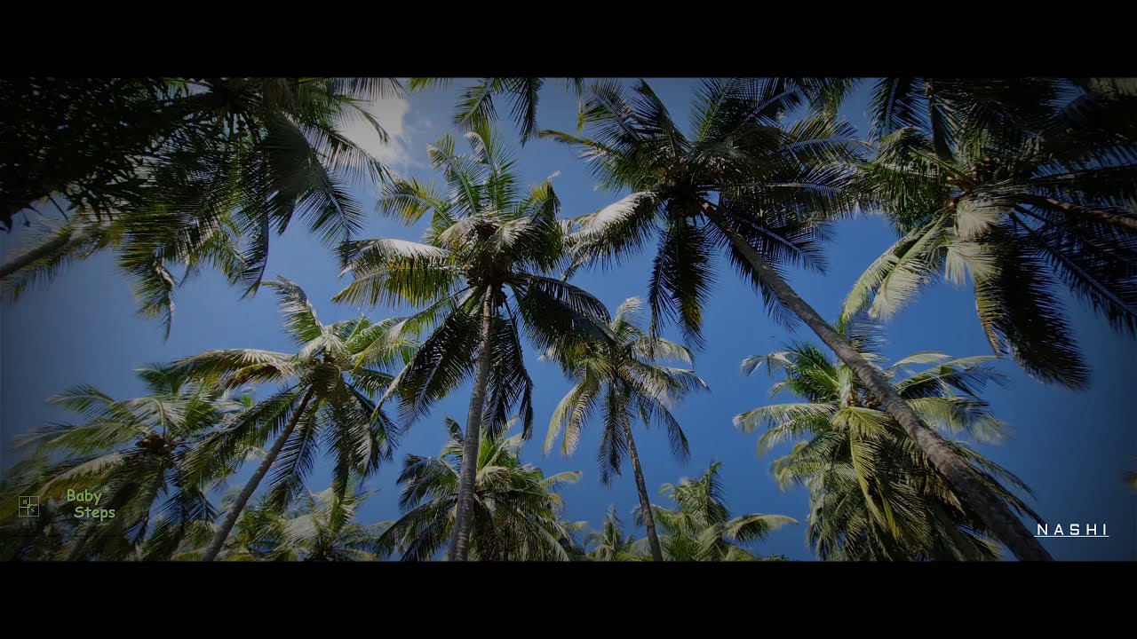 chaliyar, Feroke, karuvanthiruthy, calicut,kozhikkode, Cinematic ...