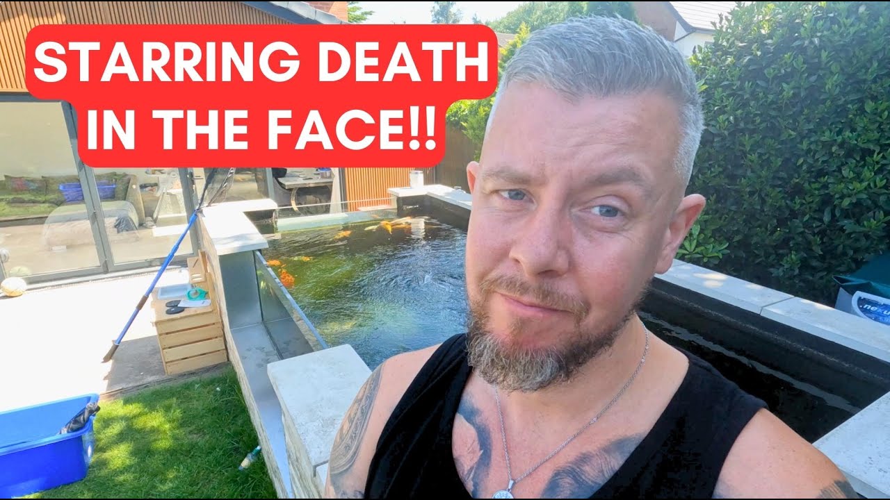 EVERY POND KEEPERS BIGGEST FEAR 🐠😢🔎 Deteriorating Koi Fish Crisis 😭🔬 ...