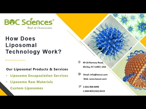 How Does Liposomal Technology Work? - Liposomal Technology - Liposomes ...