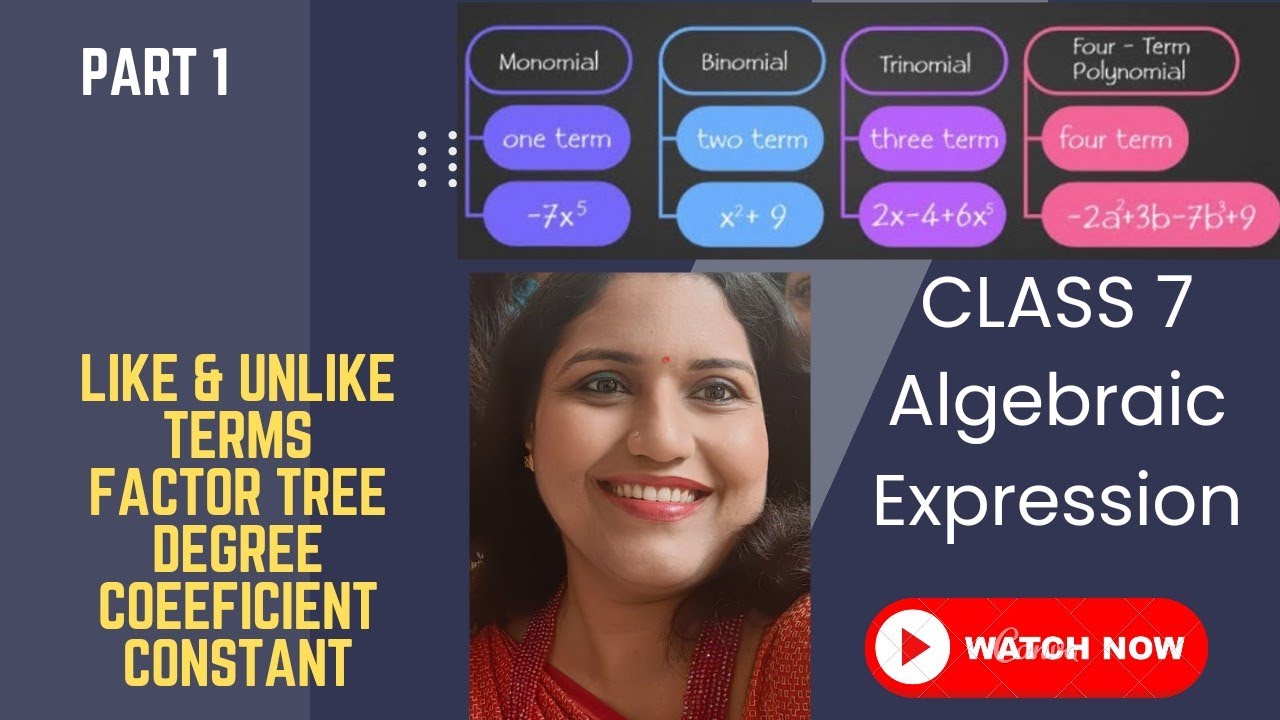Algebraic Expression | Like & Unlike Terms |Factor tree| Degree | Coefficient| Constant |Class 7 ...