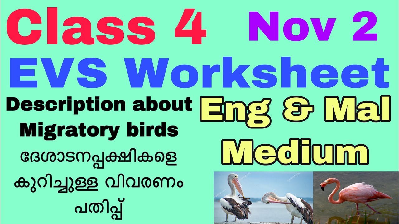 4 th std EVS Worksheet Nov 2/Victers Std 2 EVS Worksheet 2/11/20 - YouTube