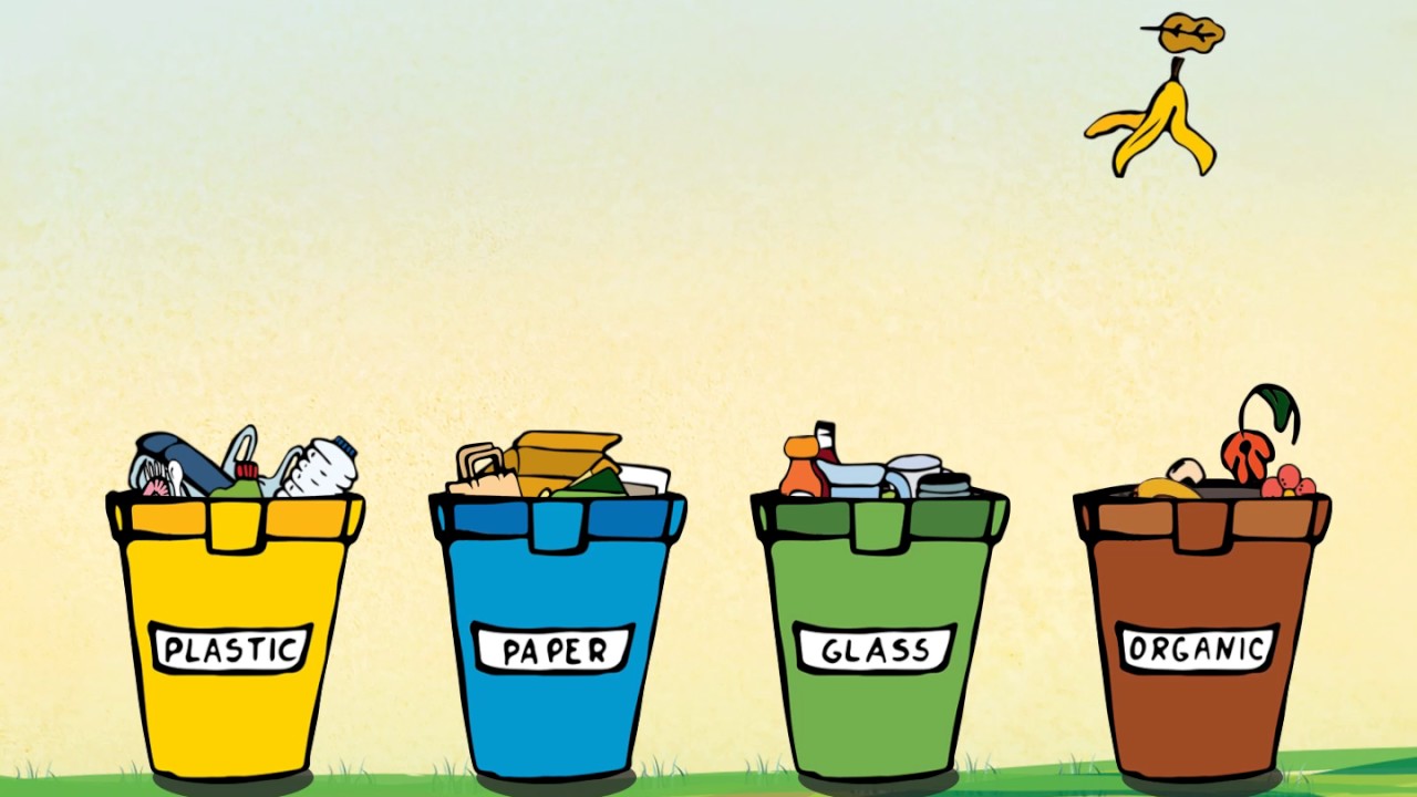 PFB Animation - Segregation at sources - YouTube