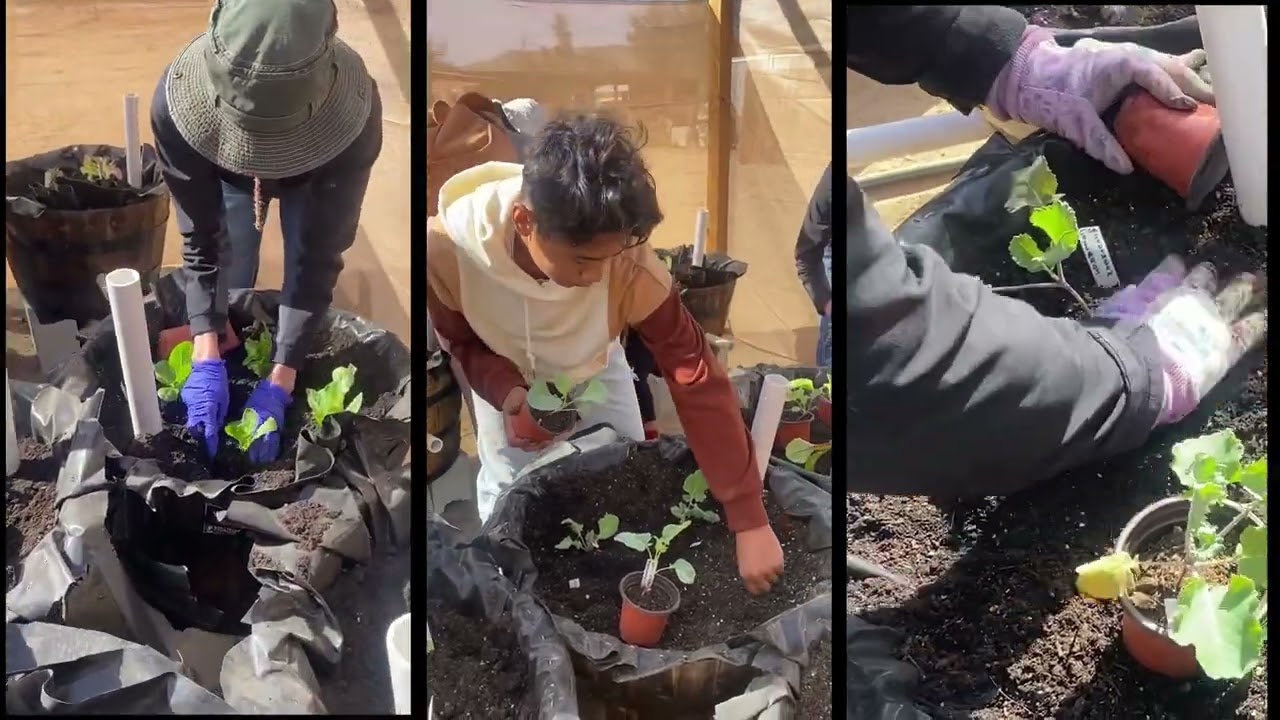 Mil-Tree: Veteran Reintegration and Community Support | Southern California