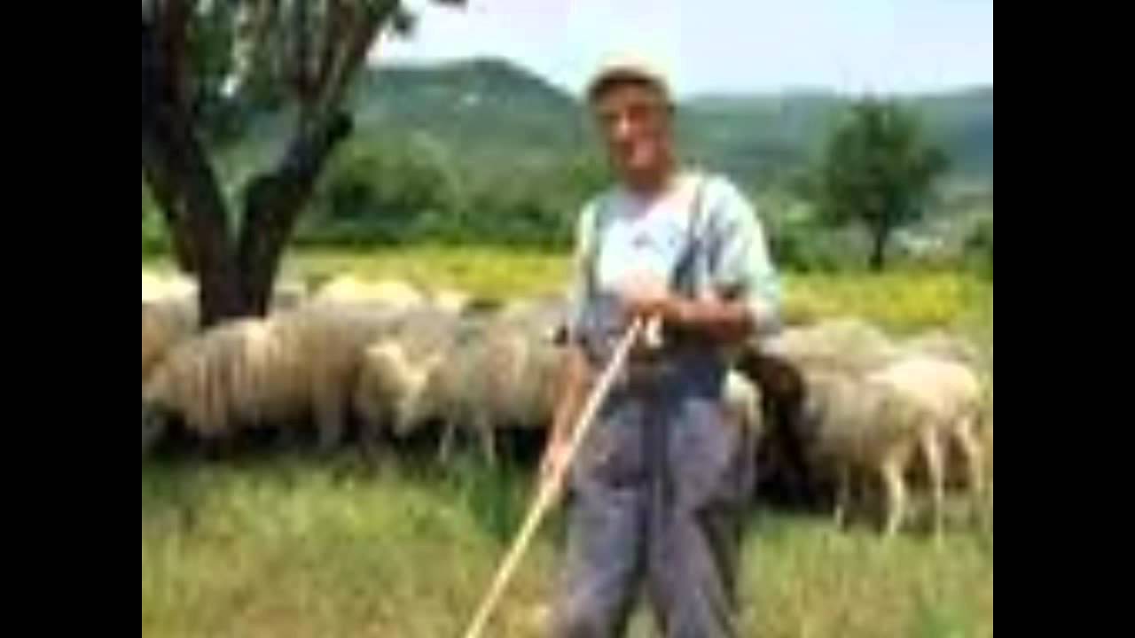 Η ΒΛΑΧΑ Η ΟΜΟΡΦΗ--ΤΣΑΟΥΣΗΣ-.wmv - YouTube