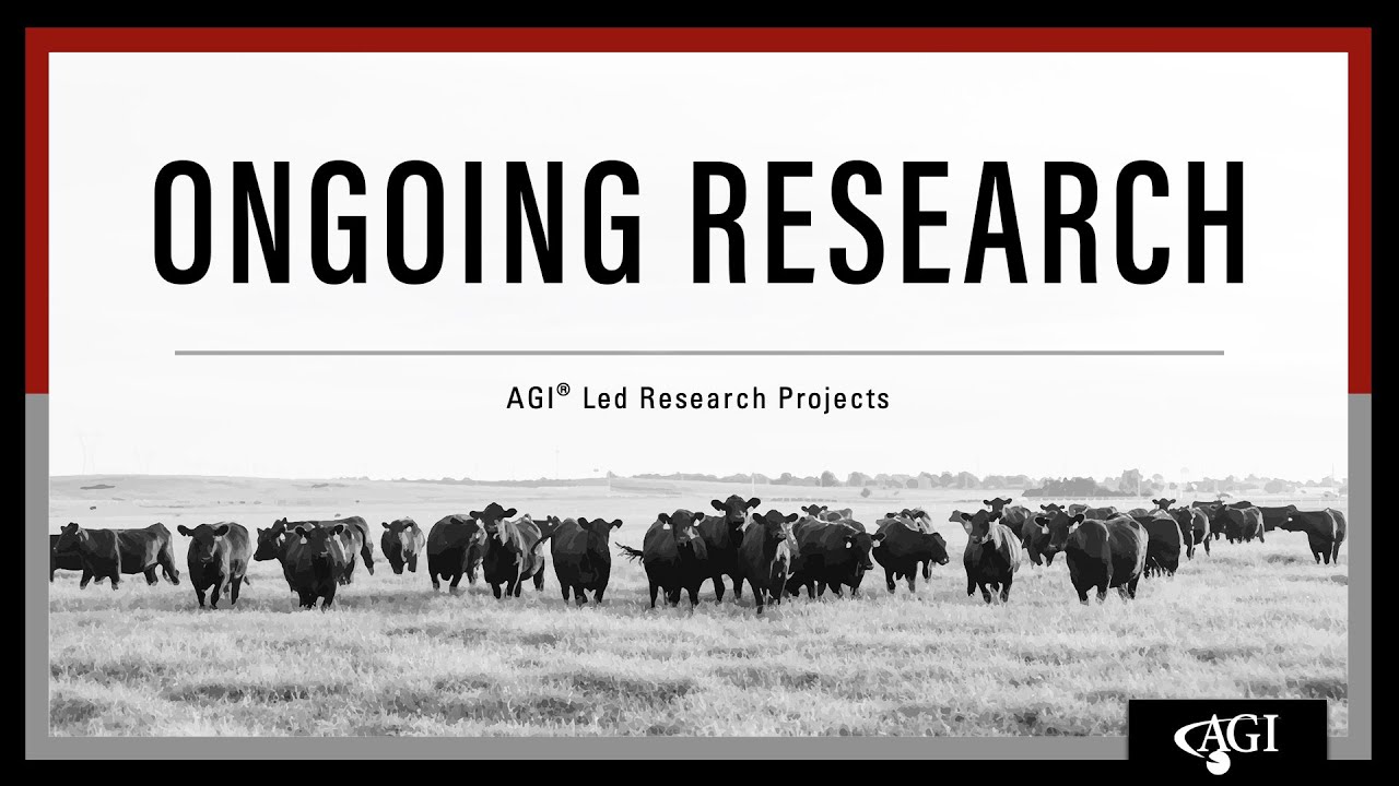 Ongoing Research | AGI-Led Research Projects - YouTube