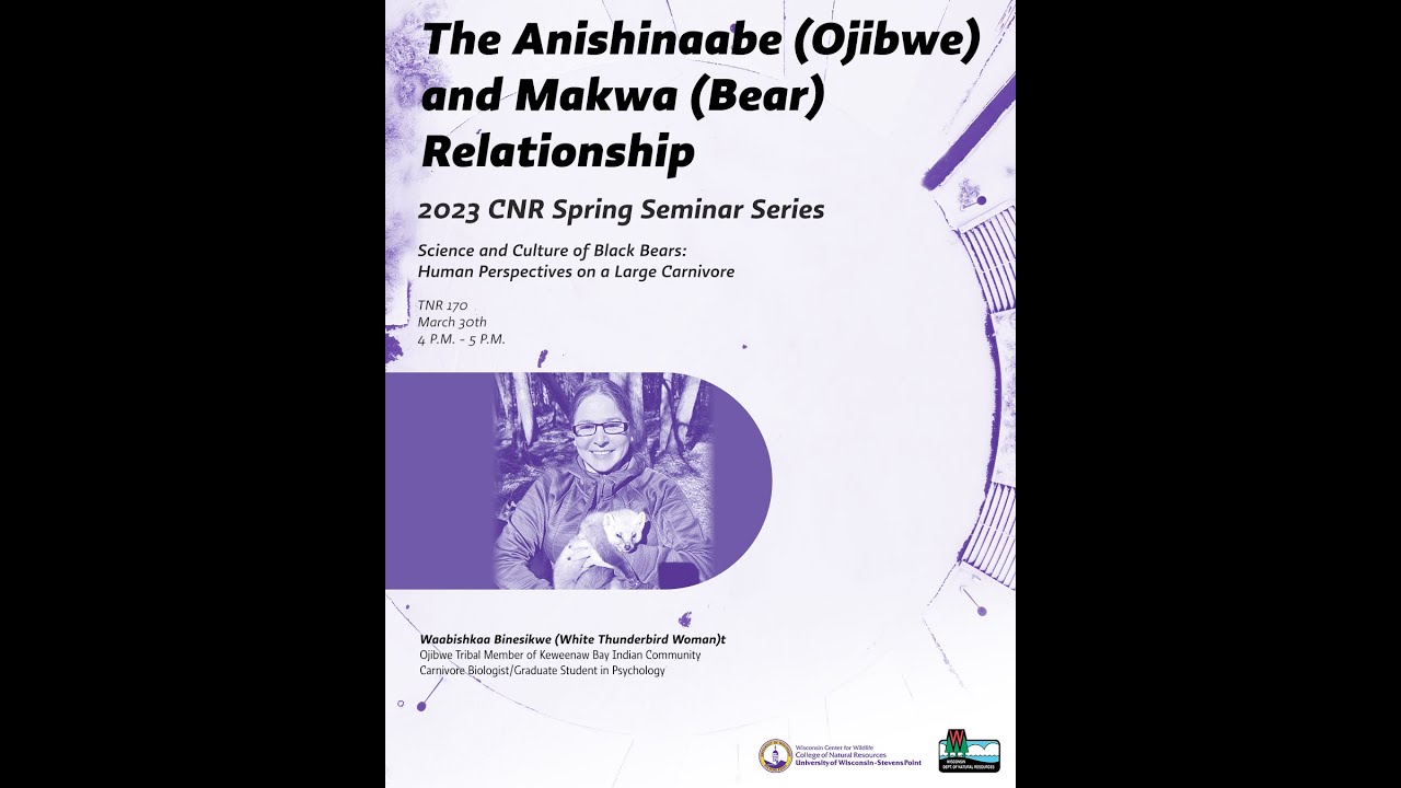 The Anishinaabe (Ojibwe) and Makwa (Bear) Relationship - YouTube