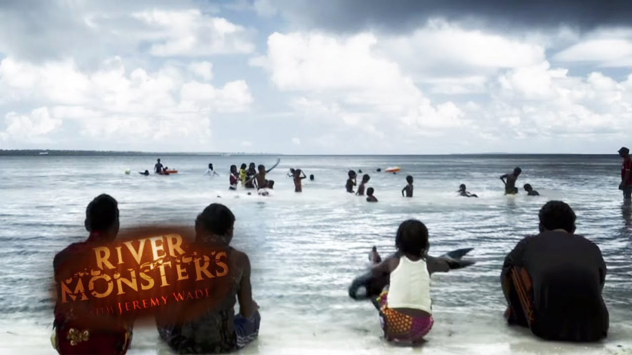 A Coral Reef KILLER | HORROR STORY | River Monsters - YouTube