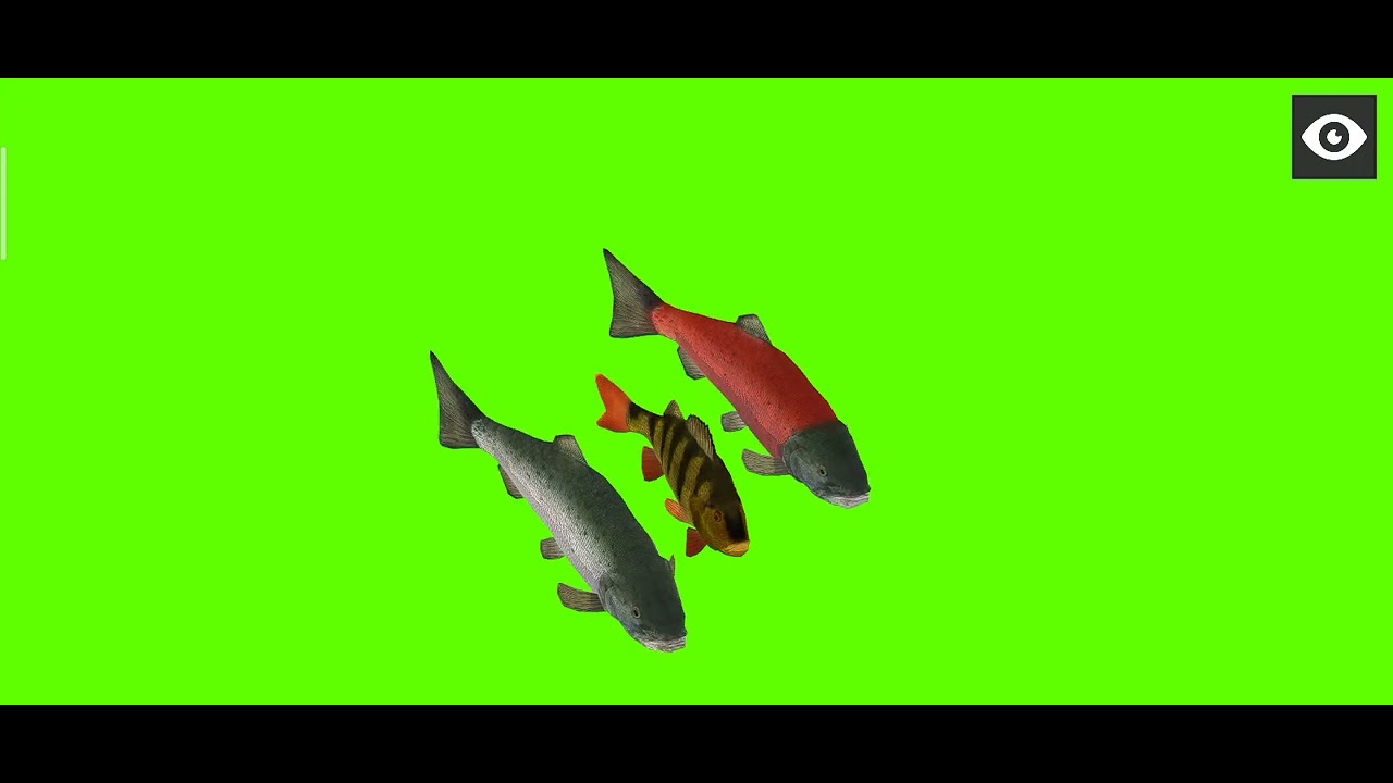 green screen fish video | green screen cartoon character | Green screen ...