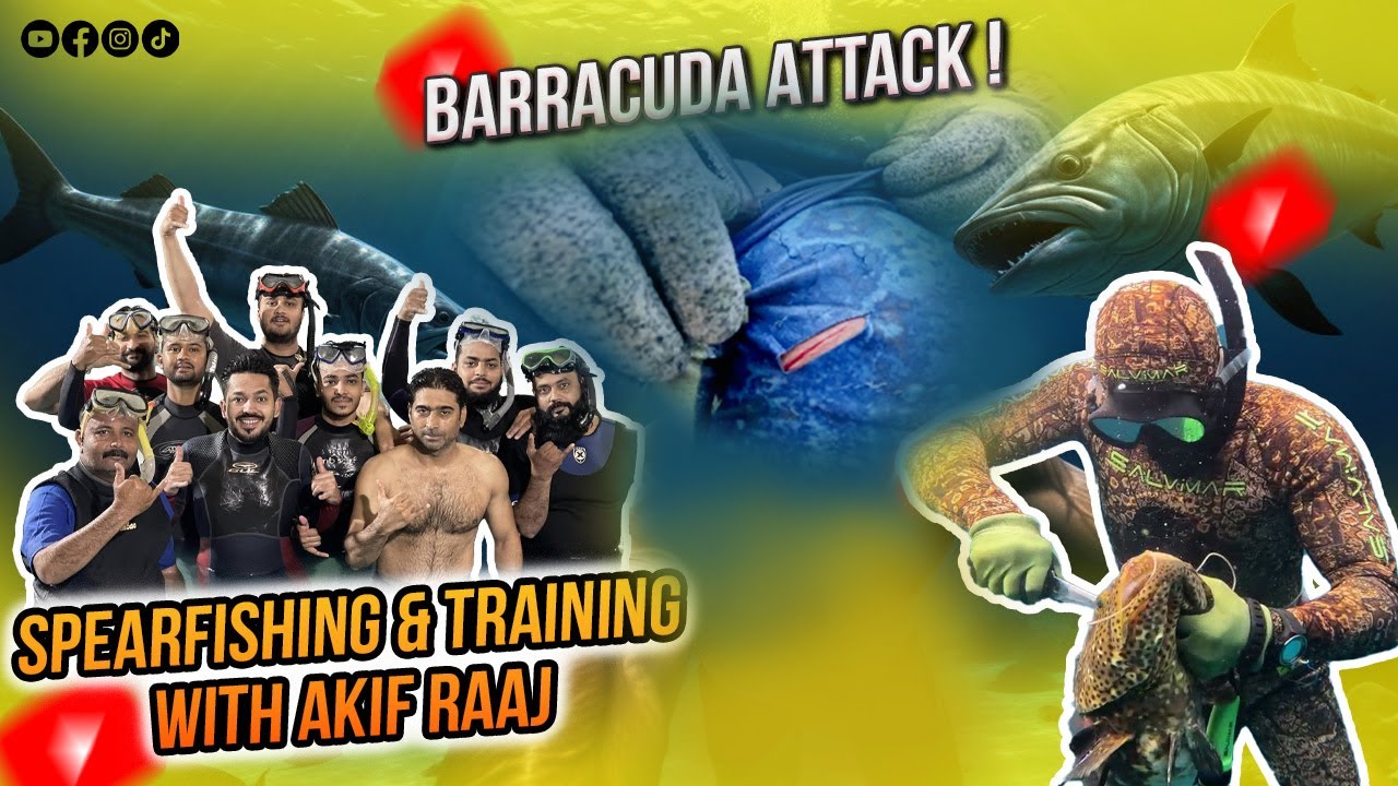 “CRYSTAL WATER & BARRACUDA ATTACK During Student Ocean Trip ...