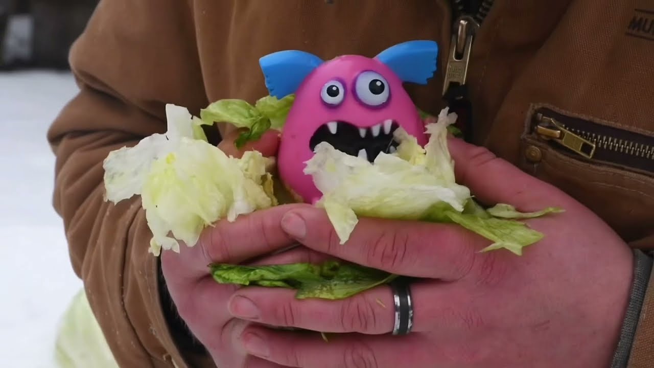 Big Enough Buttons? - YouTube