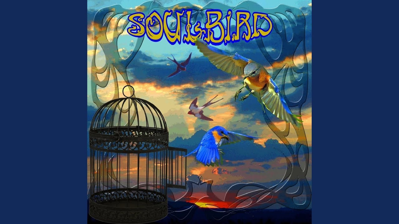 SoulBird - YouTube