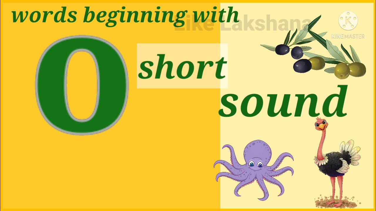 'o' words | 'o' short sound | 'o' sound | 'o' phonics|kids learning ...