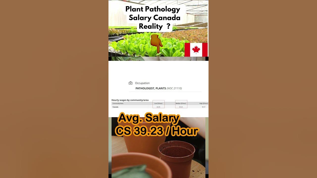 Plant Pathology Job Salary Canda shorts canadavisa YouTube plant-pathology-job-salary-canda-shorts-canadavisa-youtube