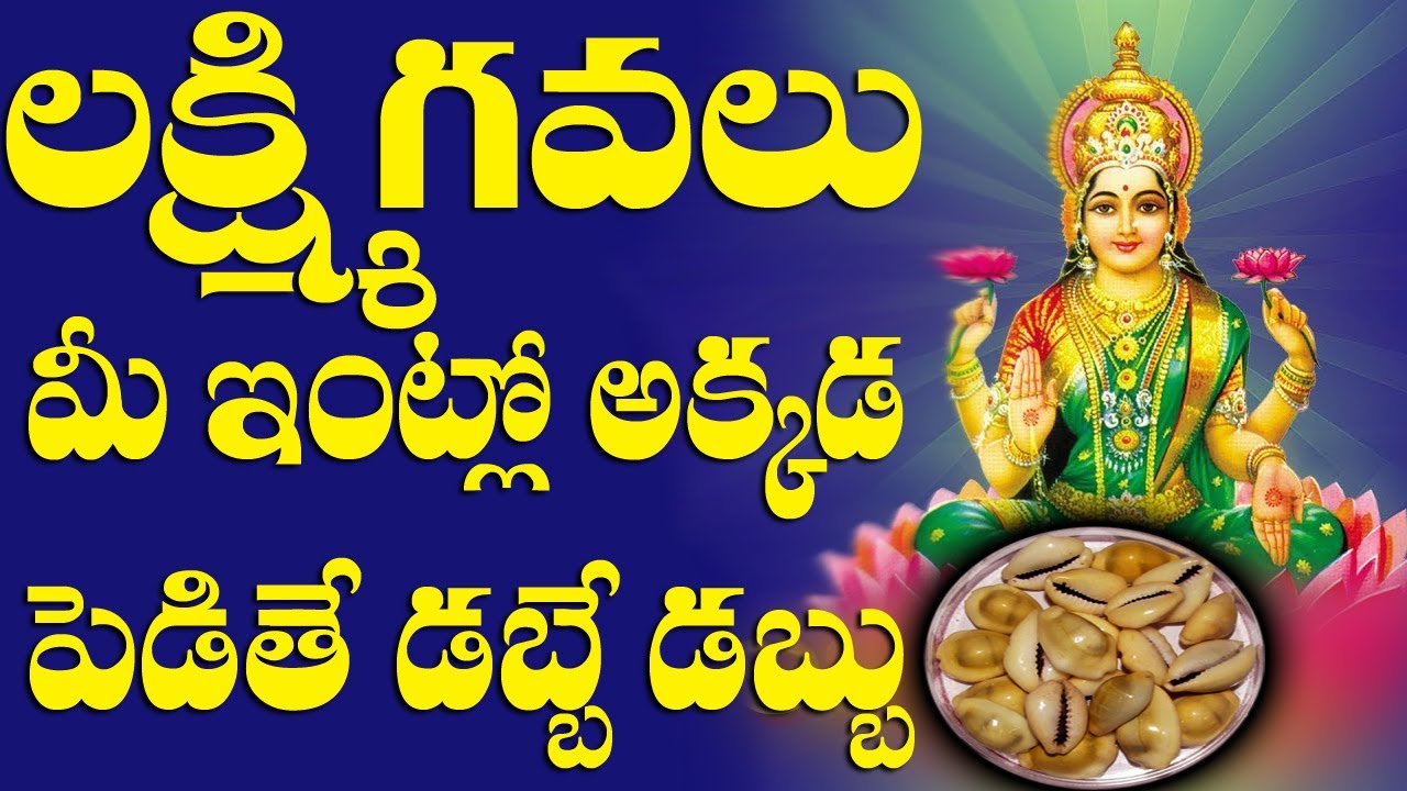 లక్ష్మి గవ్వలు మీ ఇంట్లో అక్కడ పెడితే డబ్బే డబ్బు-Significance Of ...