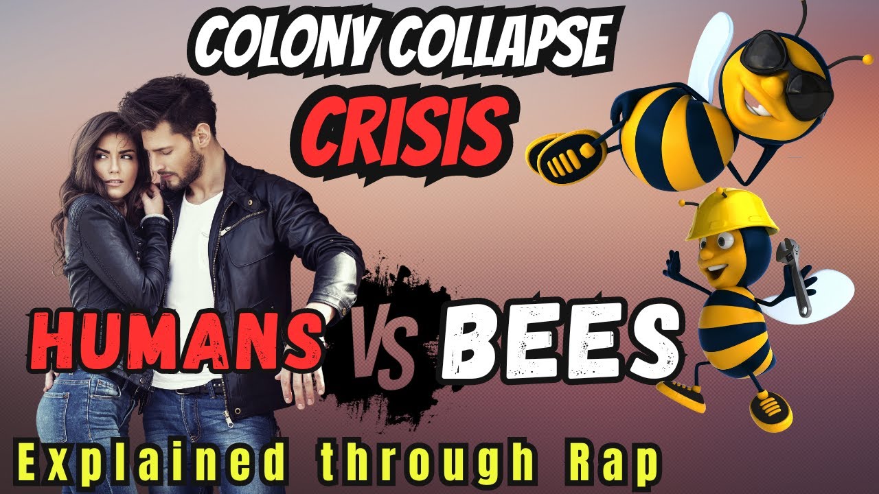 Save the Bees: A Rap About Pollination and the Colony Collapse Crisis ...