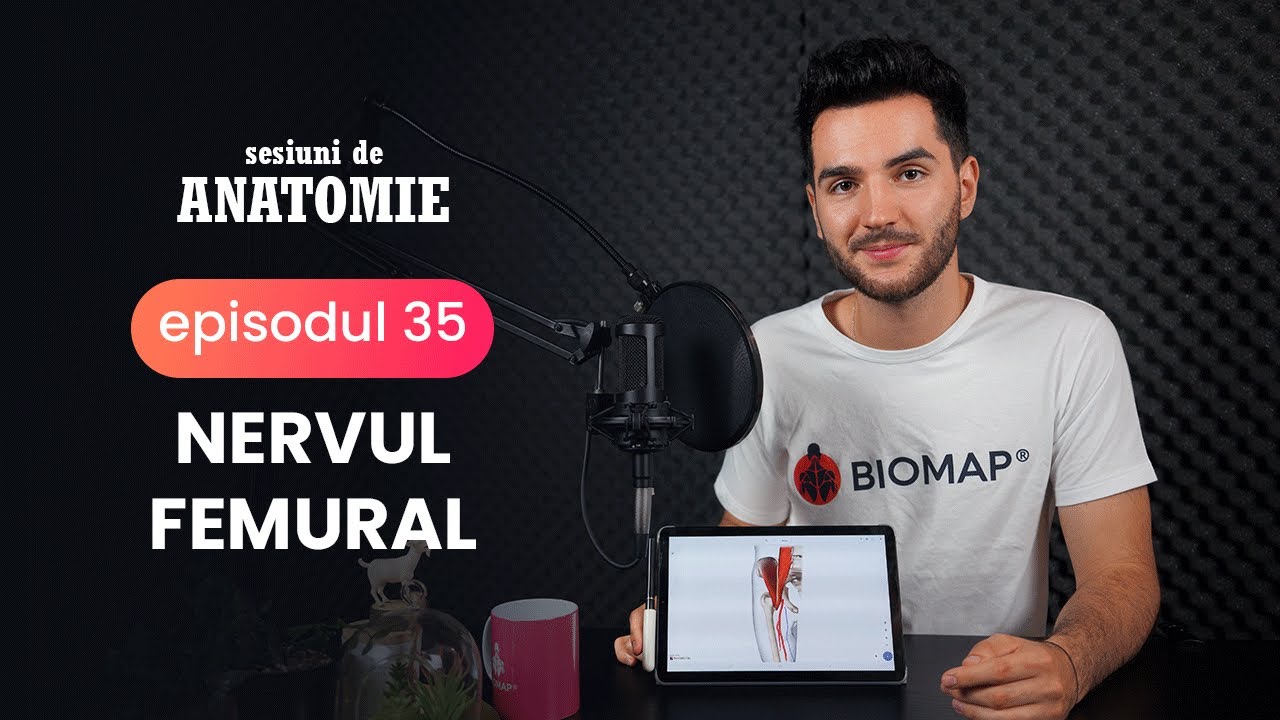Nervul Femural @Sesiuni de ANATOMIE - ep.35 - YouTube