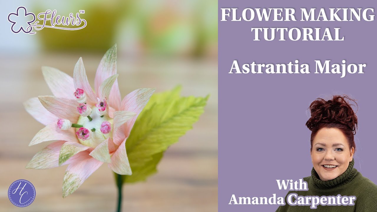Astrantia Major | Flower Making Tutorial | Amanda | Fleurs | Highlight ...