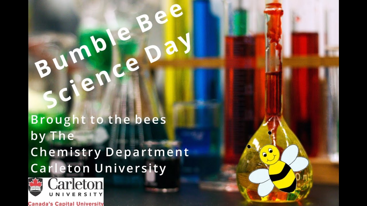 Bumble Bee Science Day 2021 - YouTube