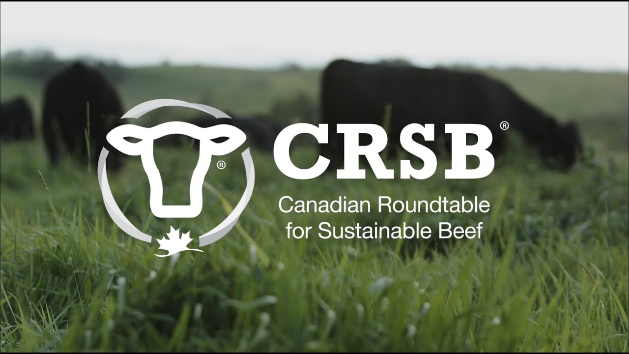 CRSB 2023 About Us Video - YouTube