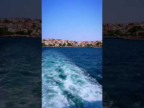 Sezen Aksu - Tutuklu Whatsaap durum