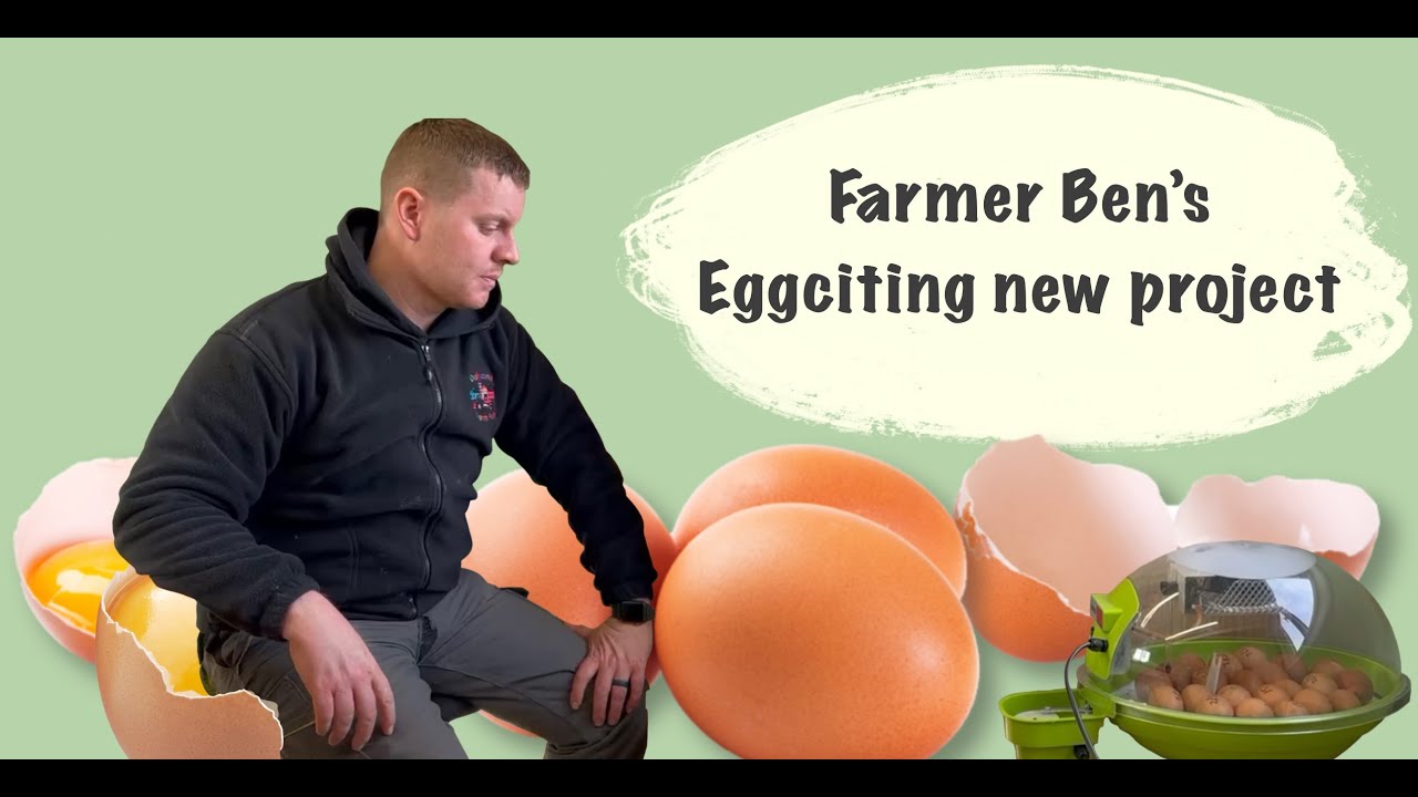 Farmer Ben's Eggciting new project - Days 1-8 - YouTube