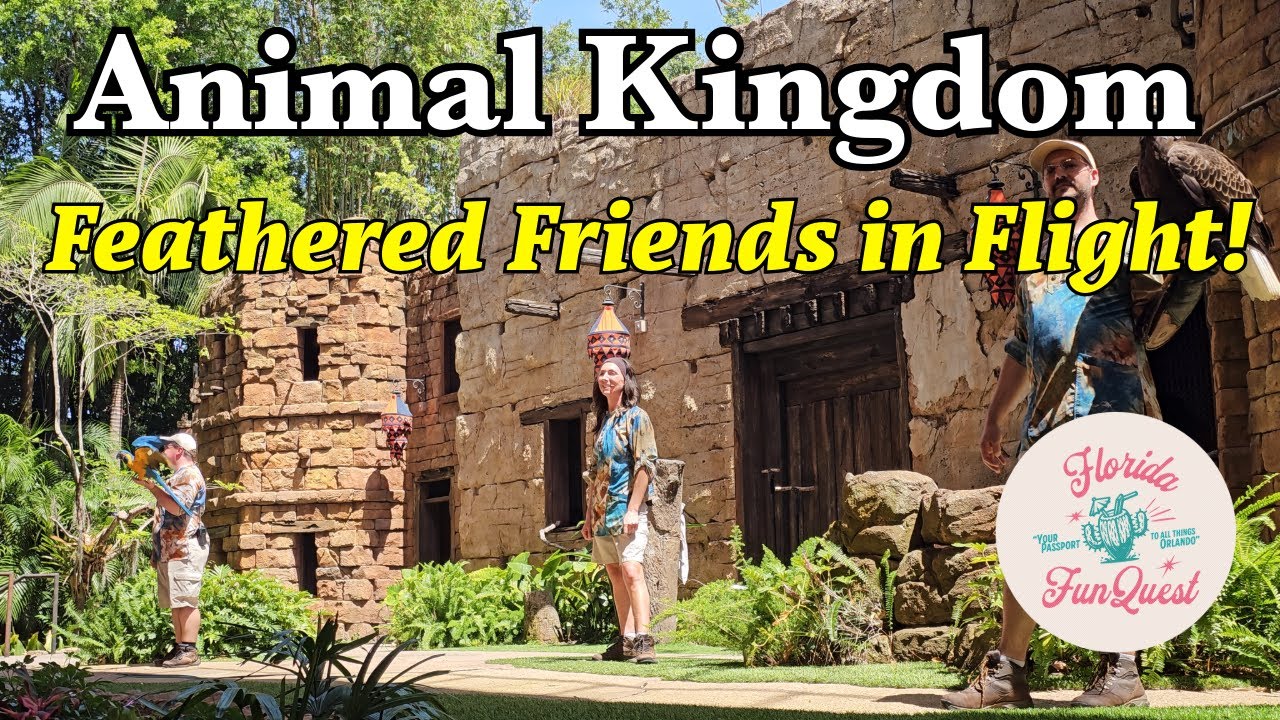 Feathered Friends in Flight at Animal Kingdom in Walt Disney World ...