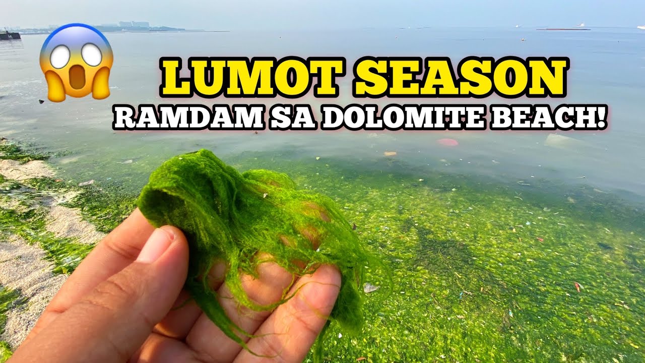 LUMOT SEASON RAMDAM SA DOLOMITE BEACH! - YouTube