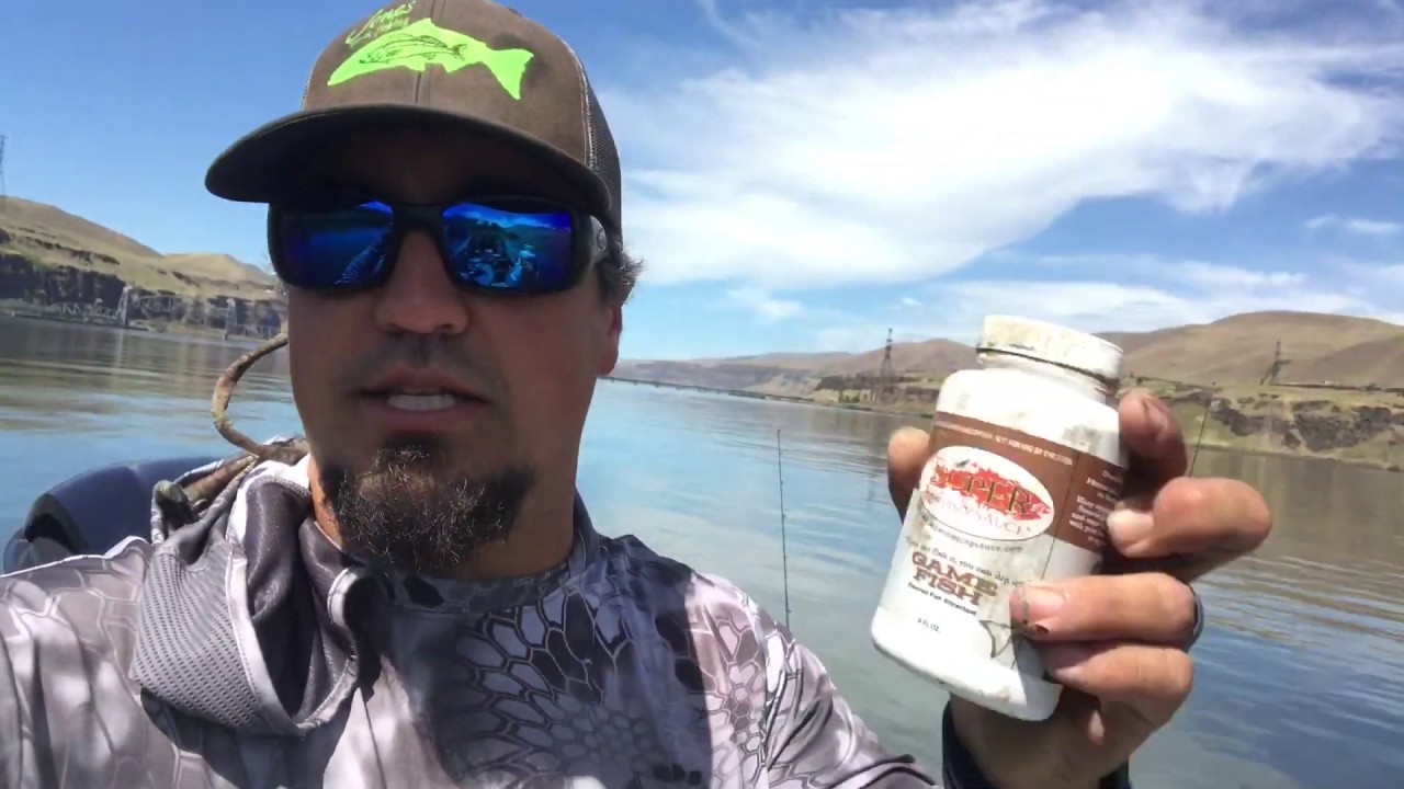 How to Scent Worms For Walleye Fishing - YouTube