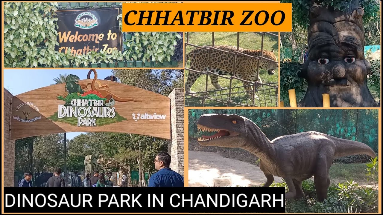 FAMOUS CHHATBIR ZOO | NOW DINOSAUR PARK IN CHANDIGARH | - YouTube
