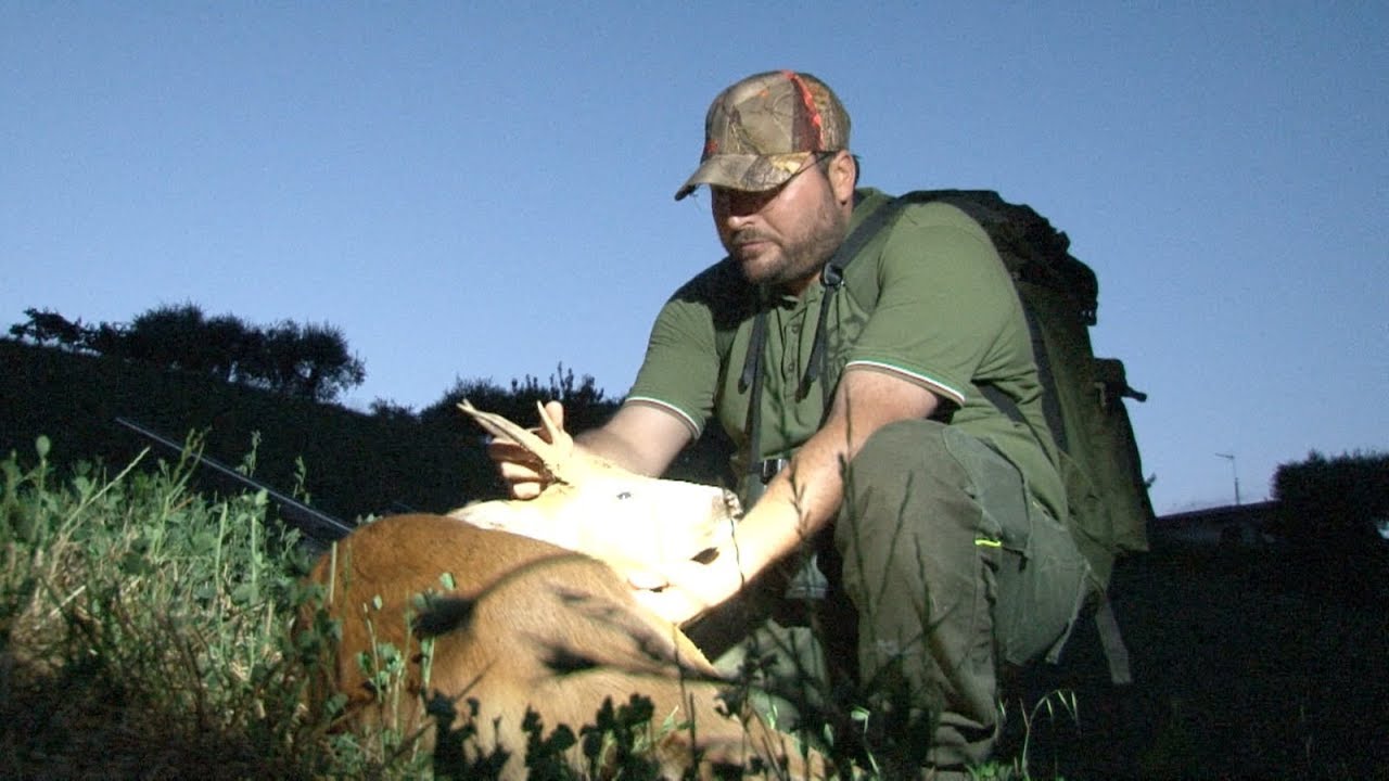 CACCIA al CAPRIOLO (Selezione) - Prelievo M1 - Roe Deer Hunting - YouTube
