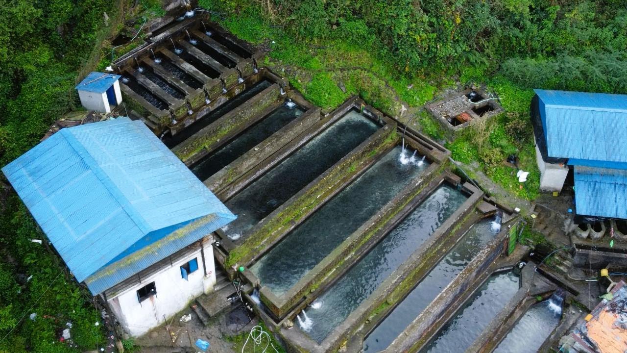 cheapest trout fish farm near kathmandu || nakakarjung gaupalika ...