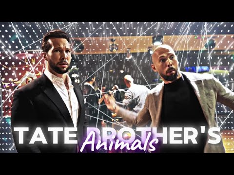 Tate Brothers edit | Andrew Tate edit | Tristan Tate edit | 4k edit [ Animals ] - YouTube