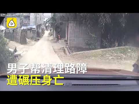 Driver killed a person when he kicked the duck