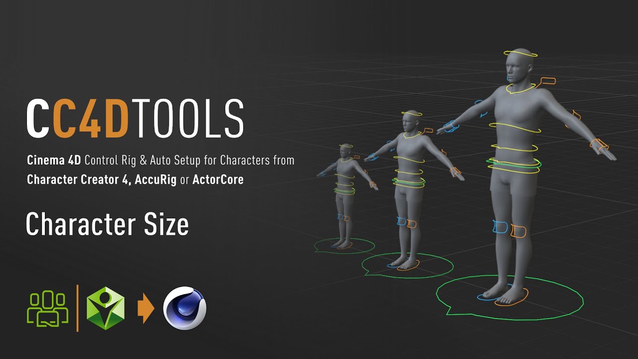 CC4D Tools: Character Creator 4 to Cinema 4D - Character Size - YouTube