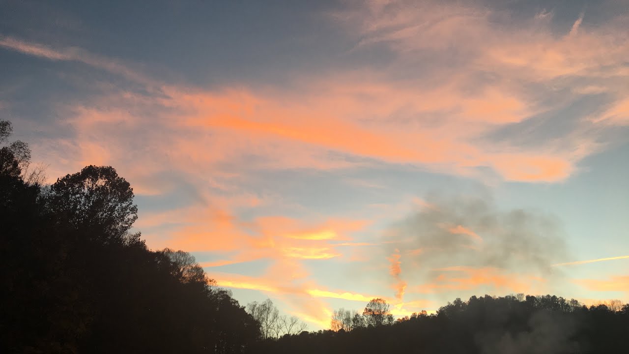 Quick Hello, Night Sky, Grass Goo Spread by Criminals, The Aura Human ...