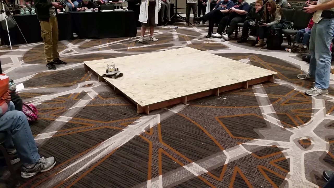 Critter Crunch 2016 - Flip Flop Flee(22) - YouTube