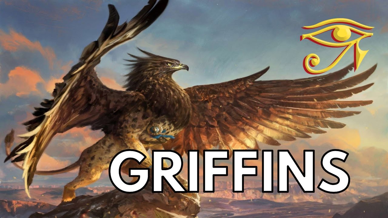 Real Life Gryphon