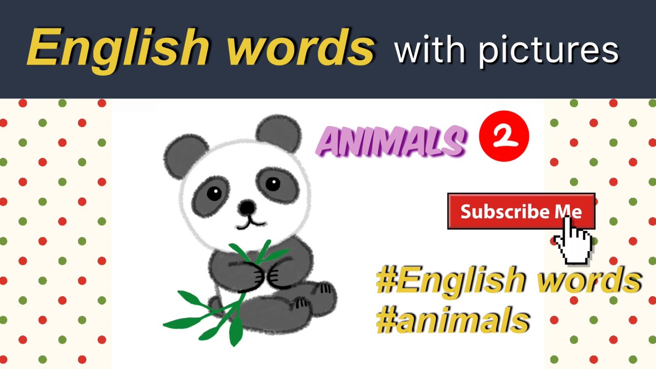 Animals2) 영어단어외우기 with 동물그림2(PDF파일 제공) English words with pictures ...