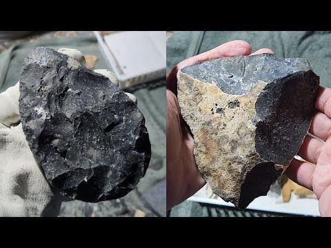 1925 - Part 1/2 - Florida Saltwater Chert from B. Stocking # ...