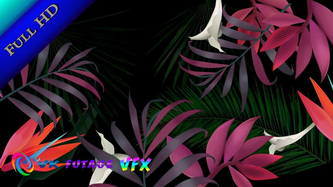 06 Tropical transition (Vignettes) free footage - YouTube