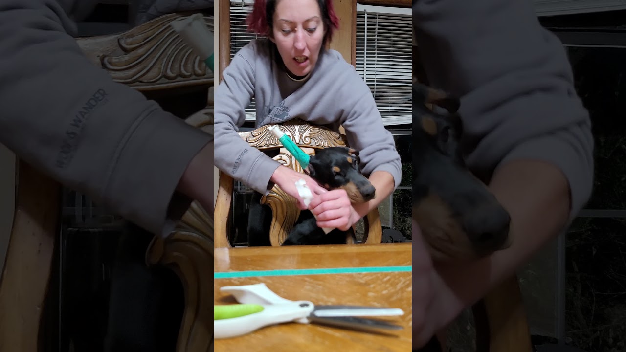 Ear Posting - Backer rod method. - YouTube